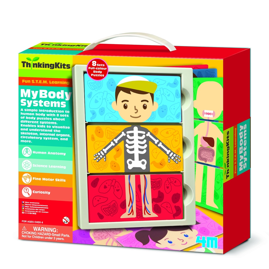 4M My body system 00-04692 | Steamers